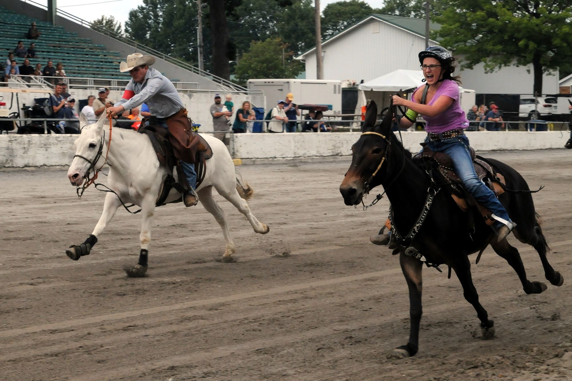 2019 Canfield Fair Photos