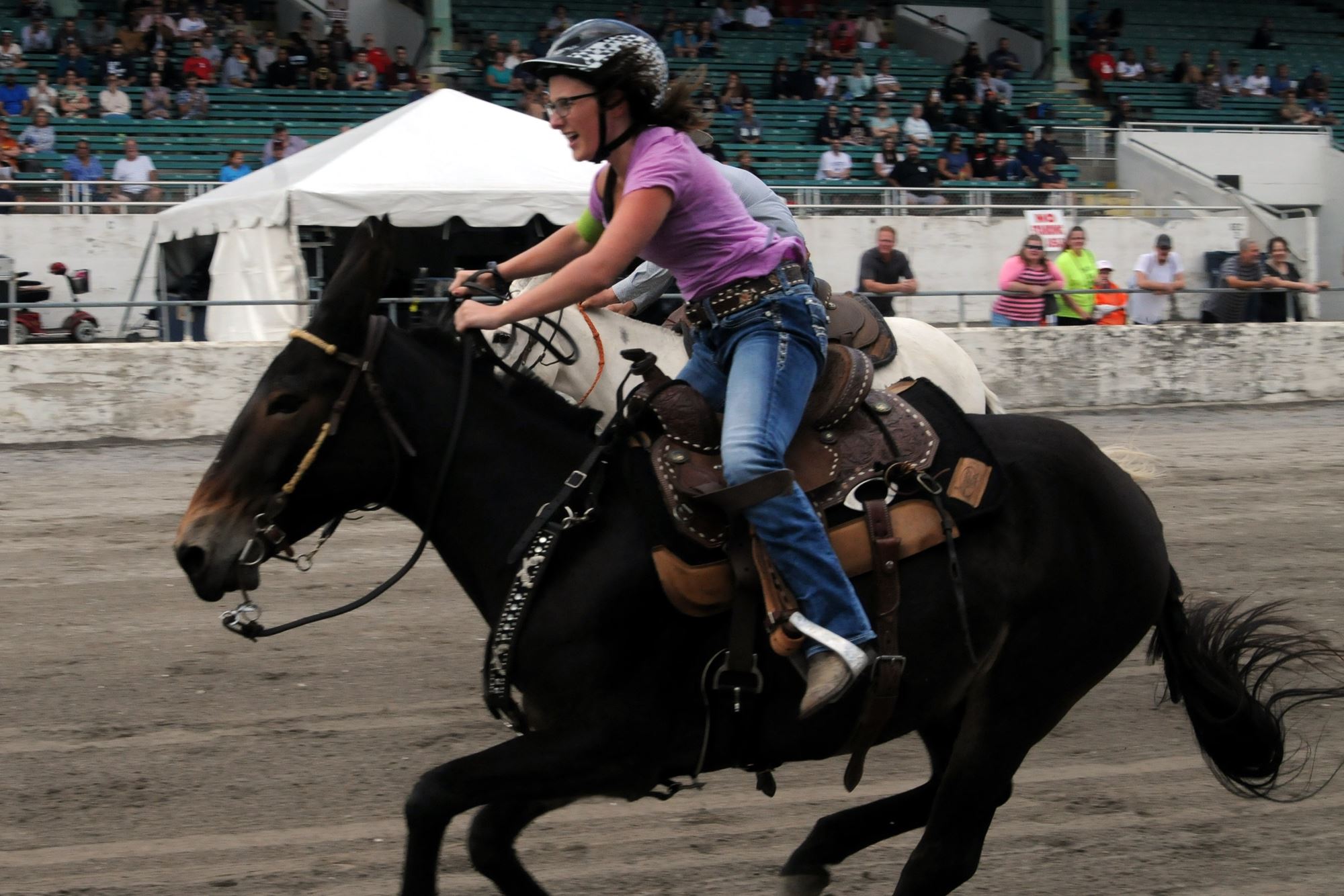 2019 Canfield Fair Photos