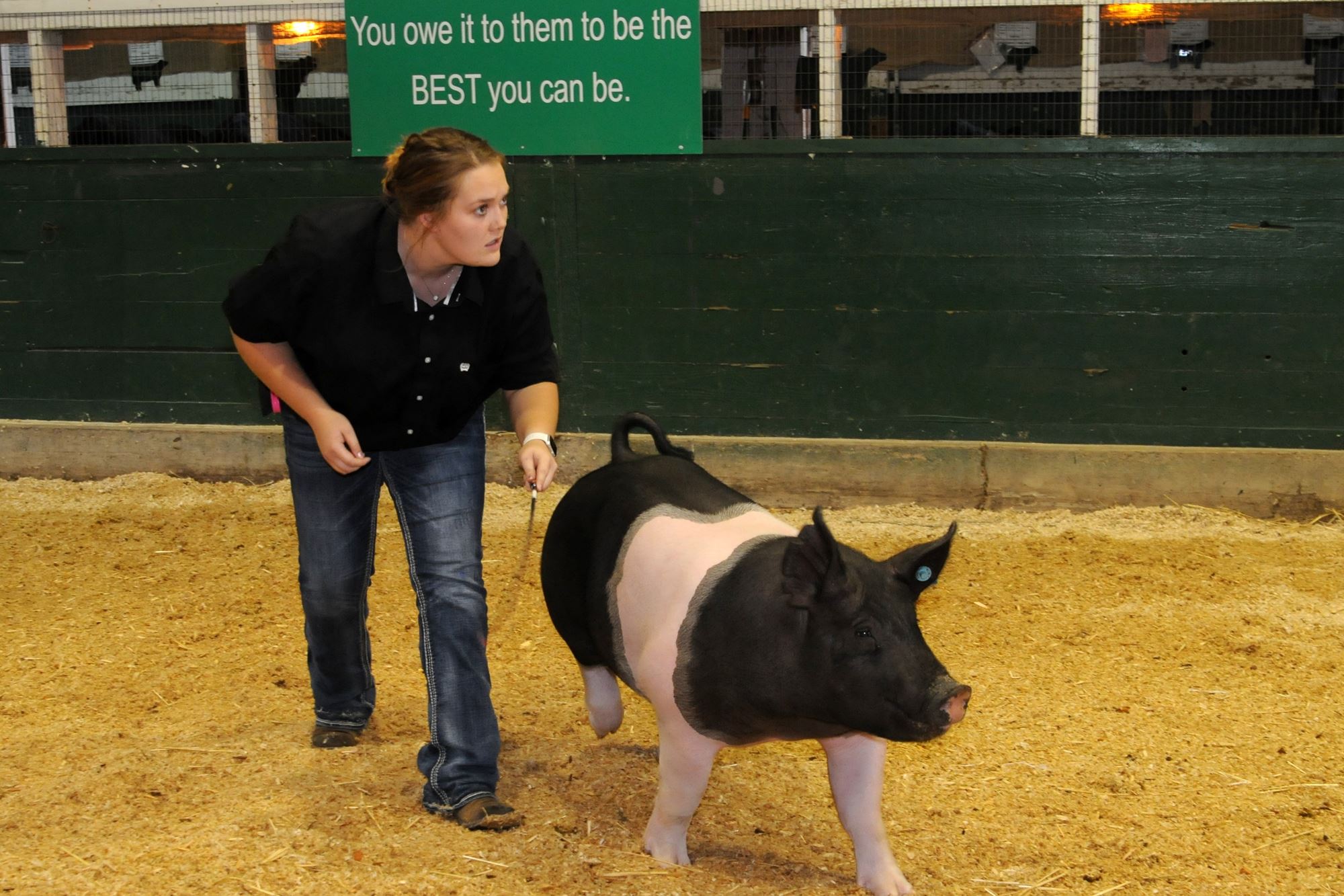 2019 Canfield Fair Photos