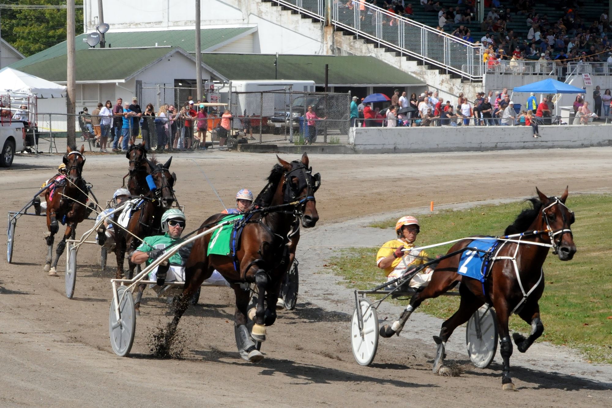 2019 Canfield Fair Photos