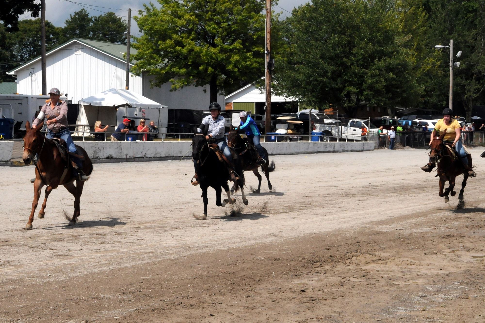 2019 Canfield Fair Photos