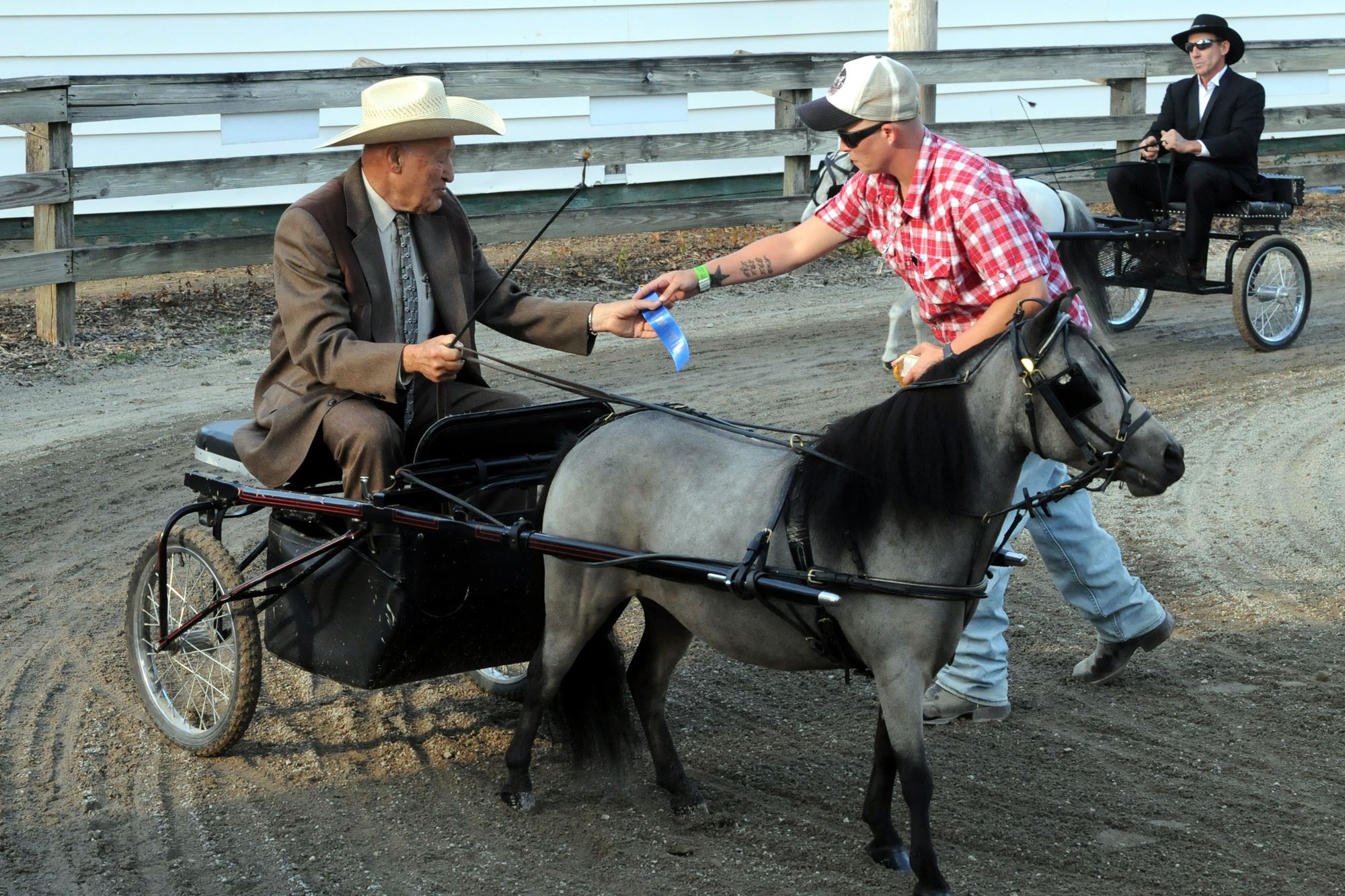 2019 Canfield Fair Photos