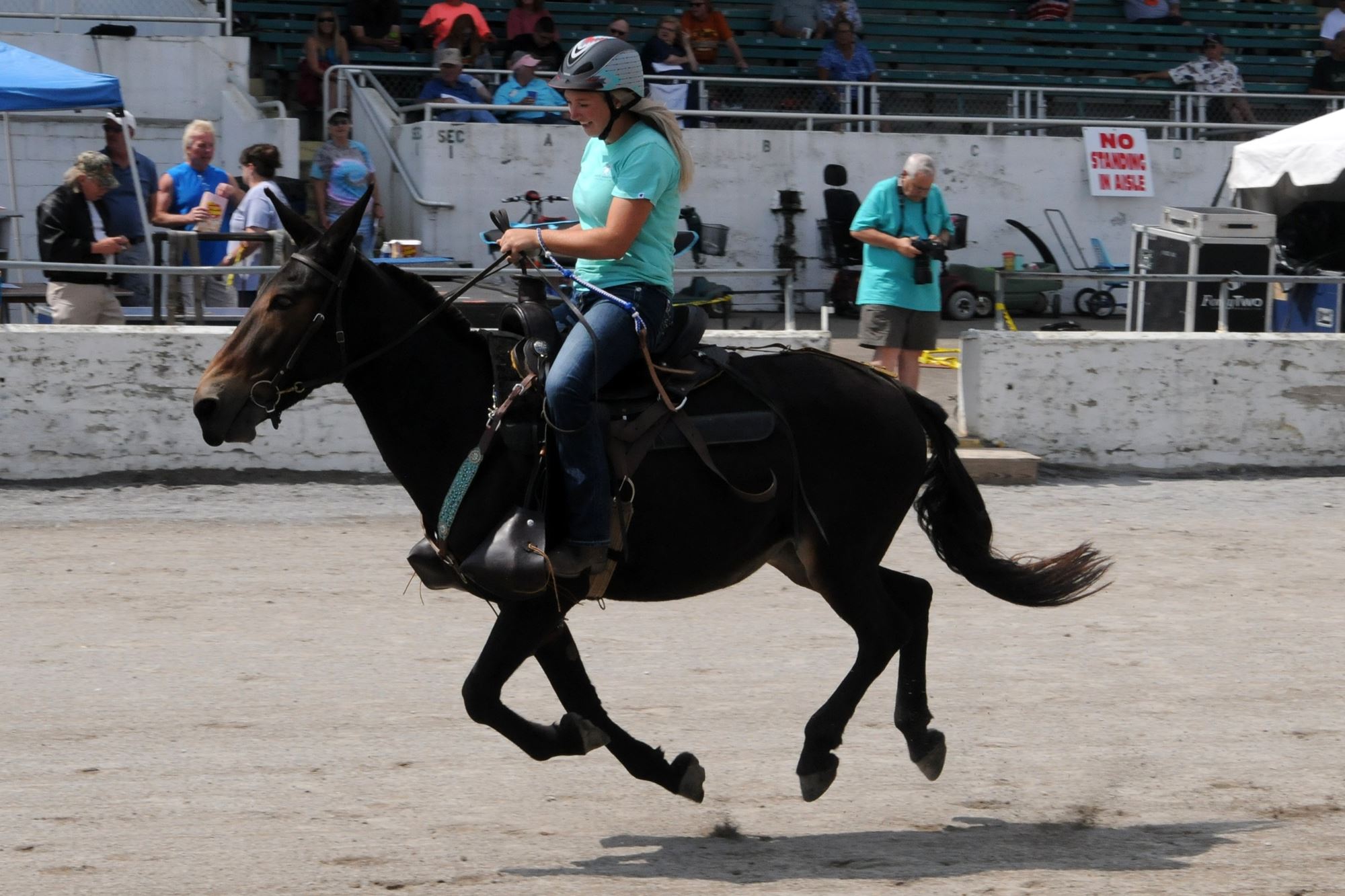 2019 Canfield Fair Photos