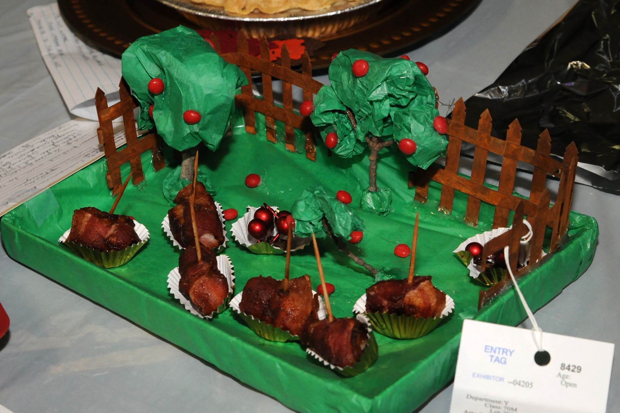 2019 Canfield Fair Photos