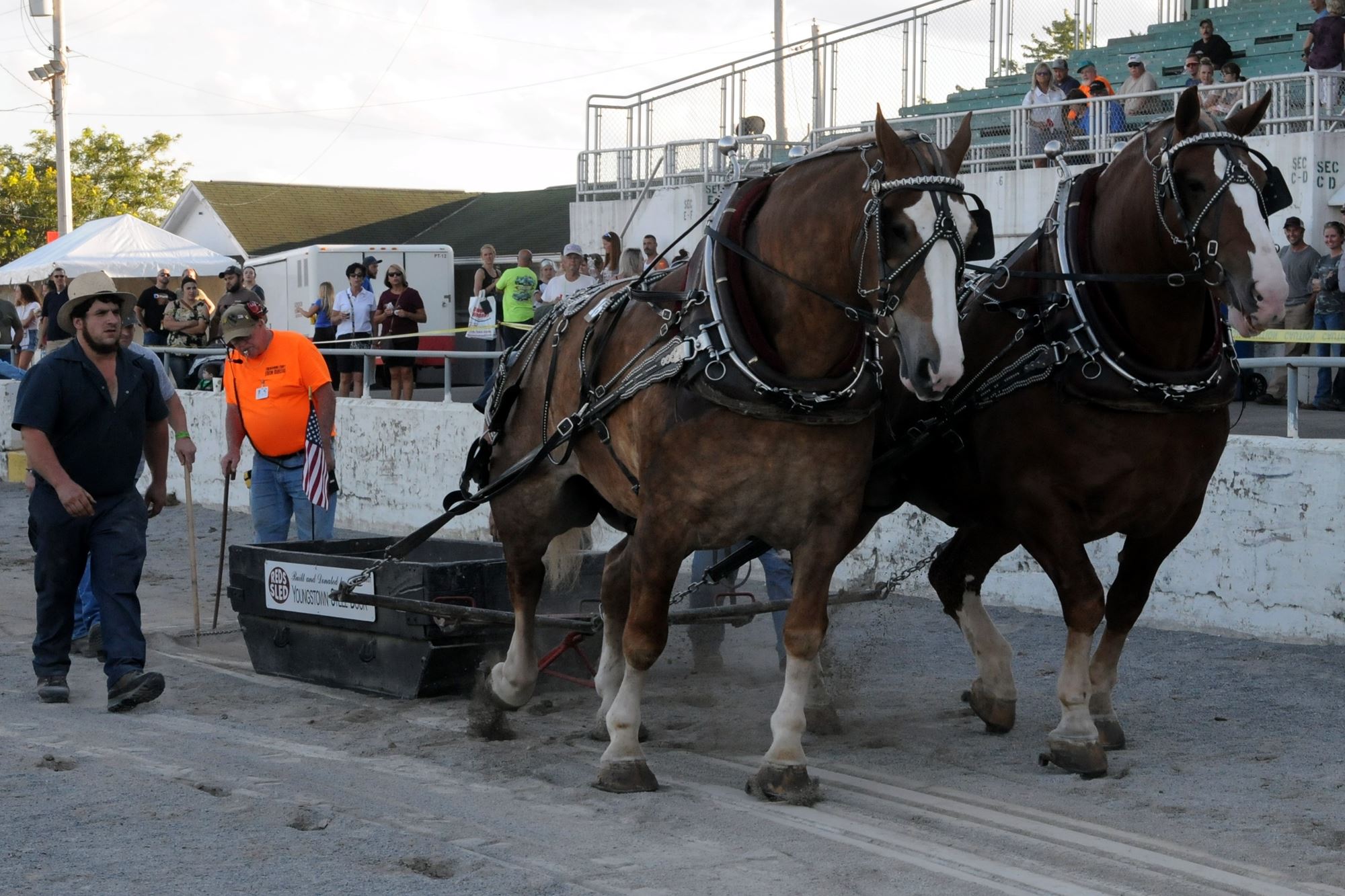 2019 Canfield Fair Photos