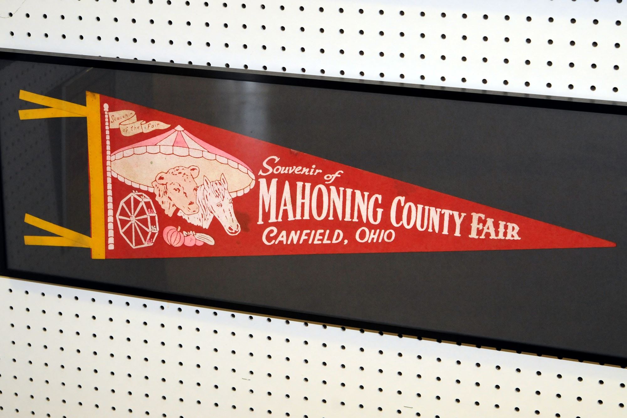 2019 Canfield Fair Photos