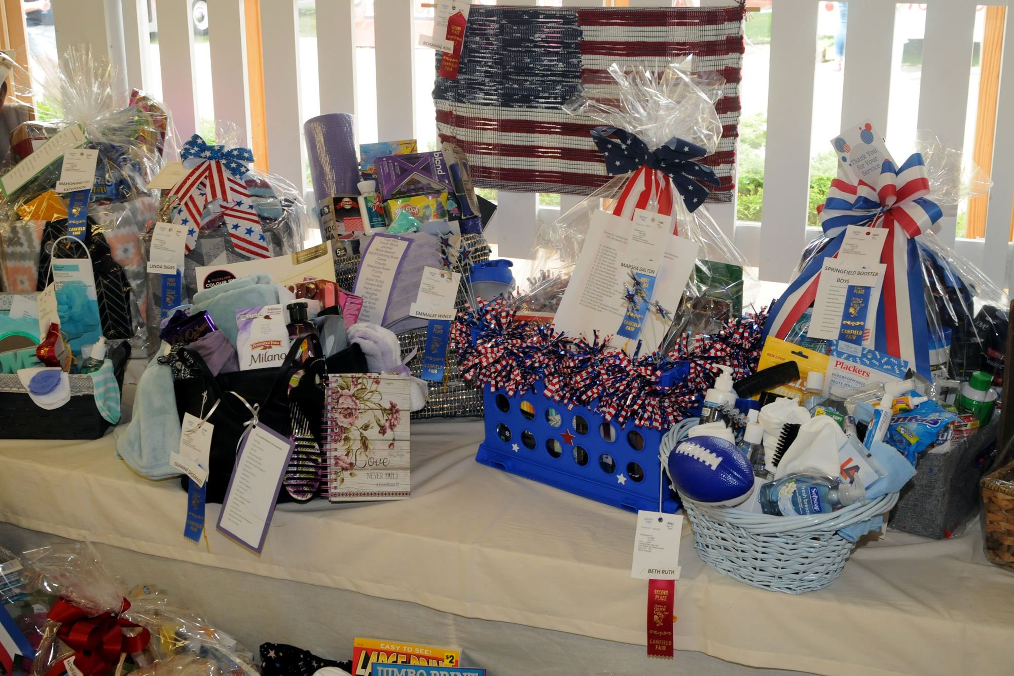 2019 Canfield Fair Photos