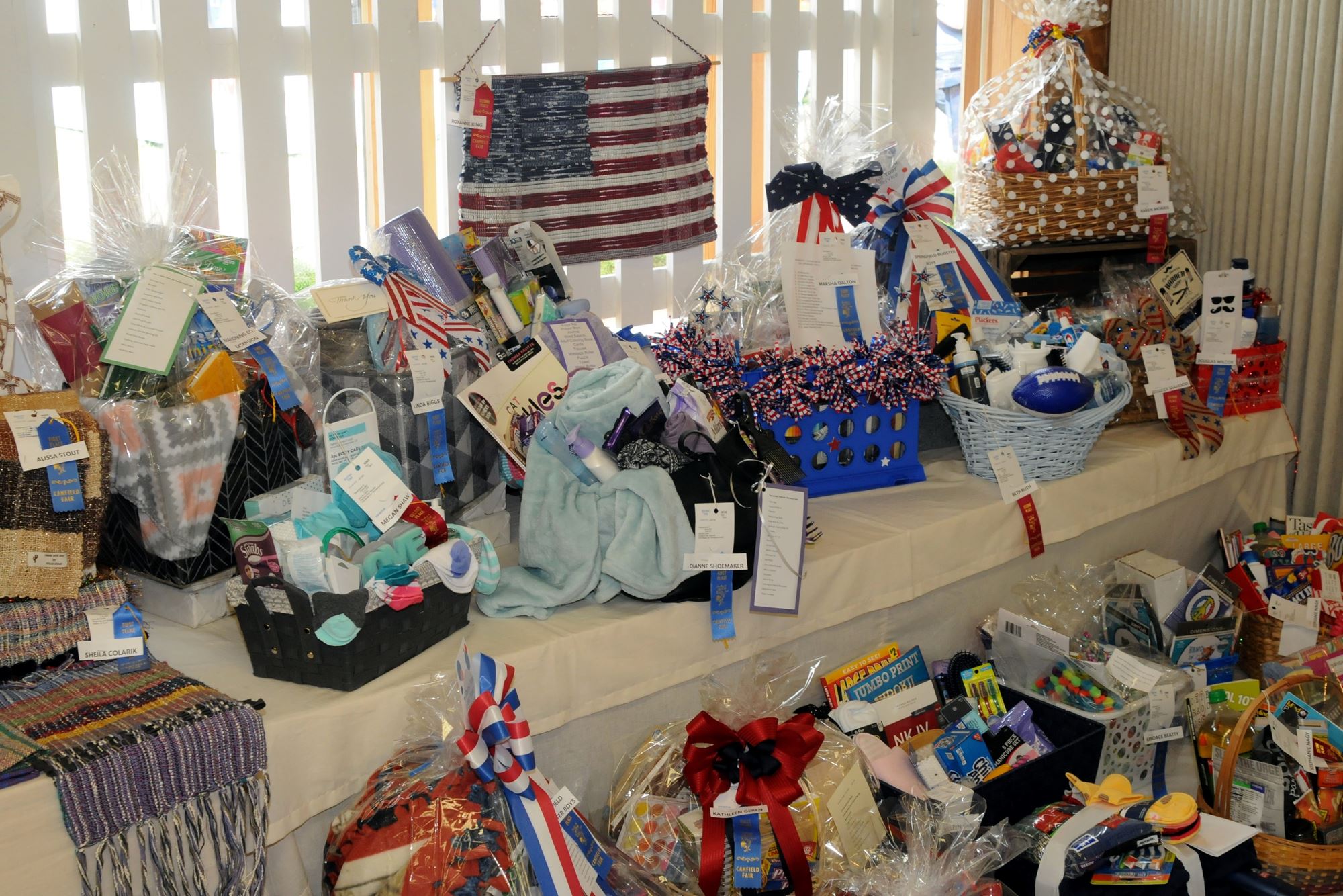 2019 Canfield Fair Photos