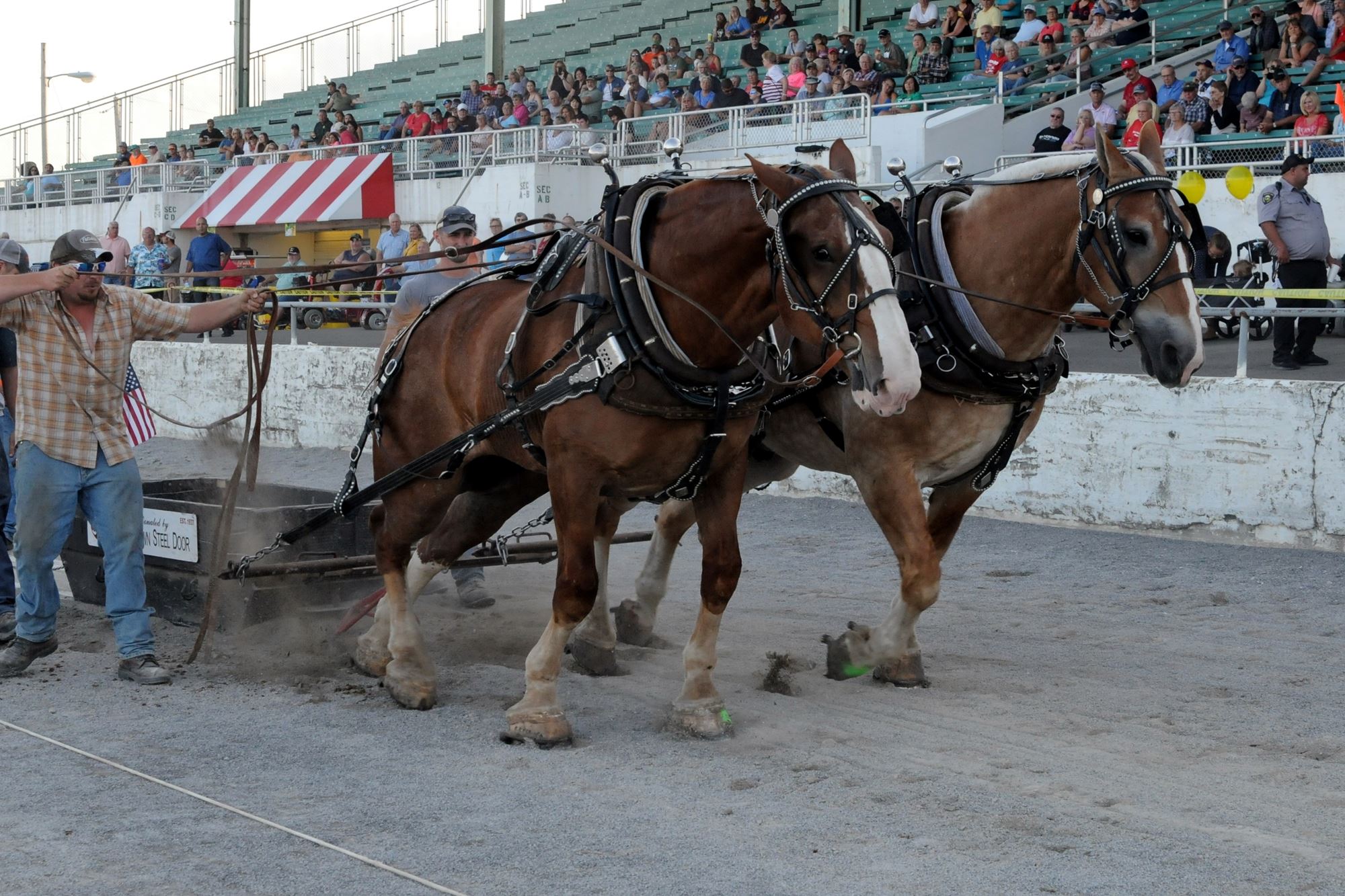 2019 Canfield Fair Photos