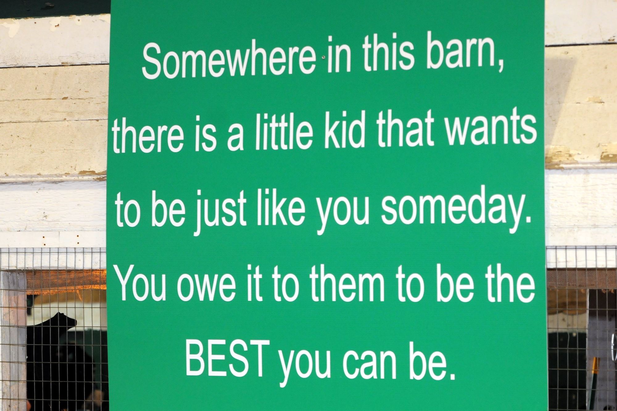 2019 Canfield Fair Photos