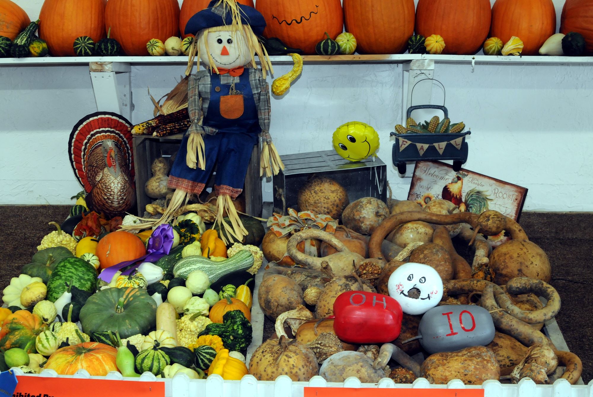 2019 Canfield Fair Photos