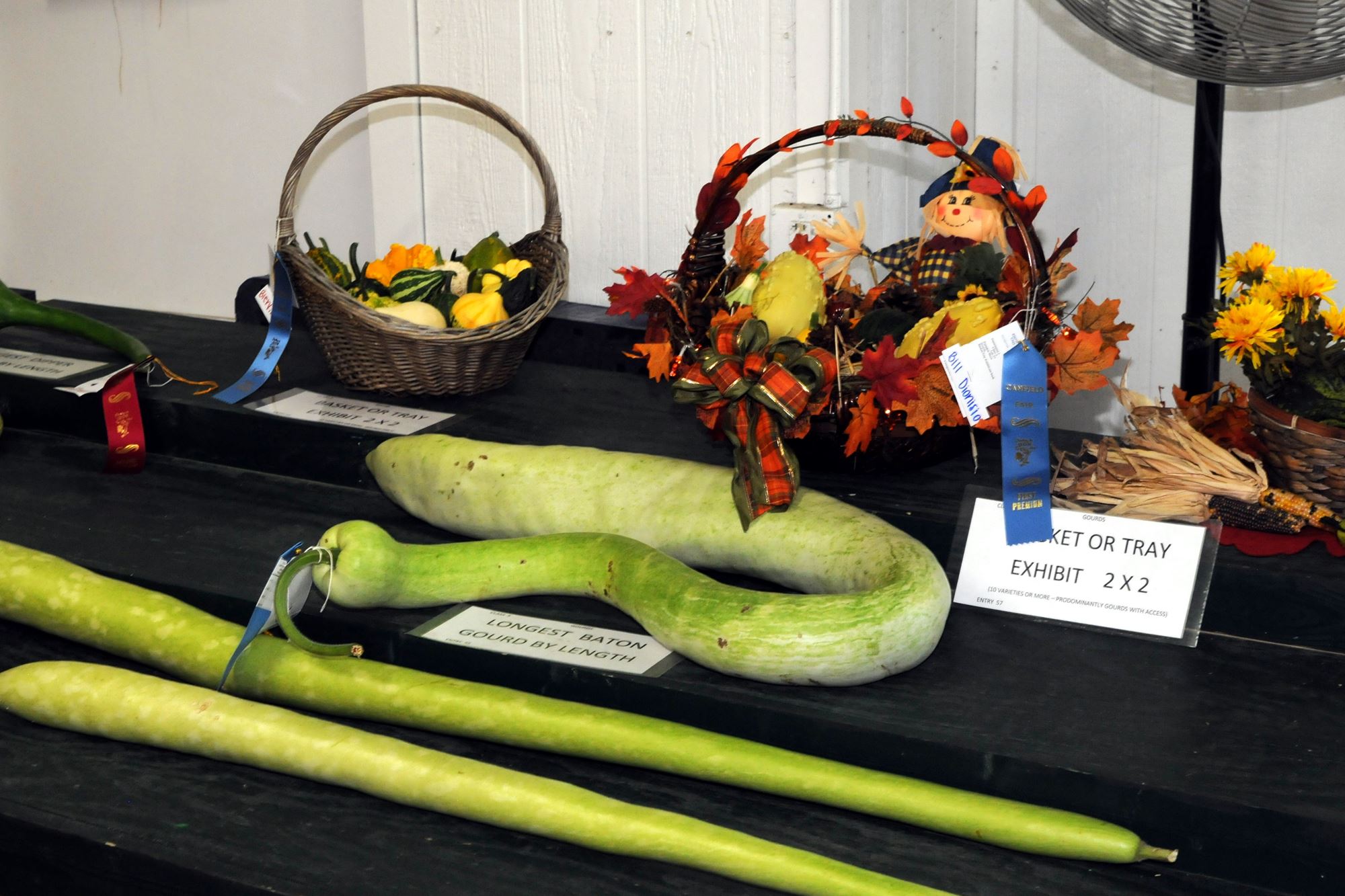 2019 Canfield Fair Photos