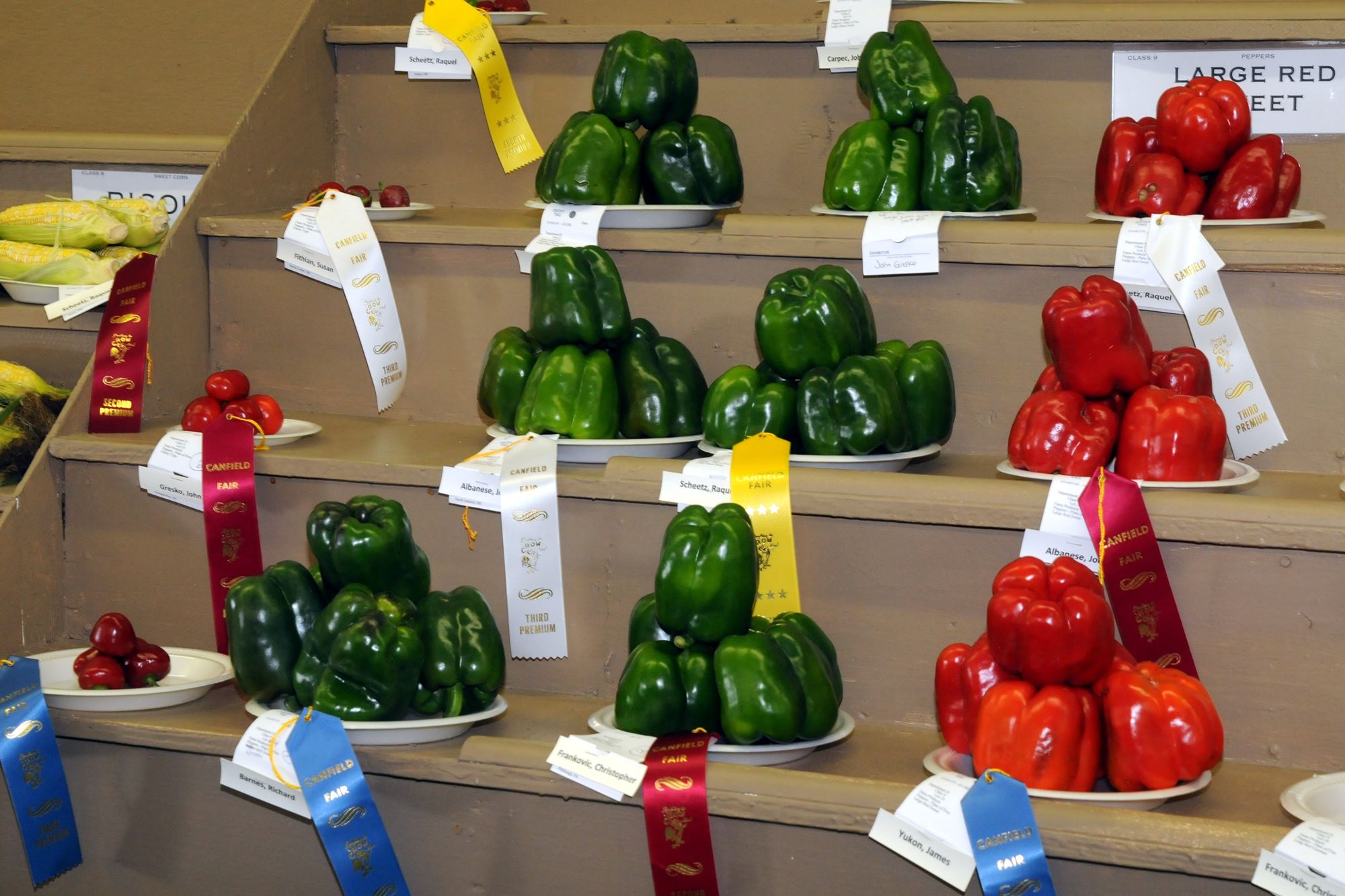 2019 Canfield Fair Photos