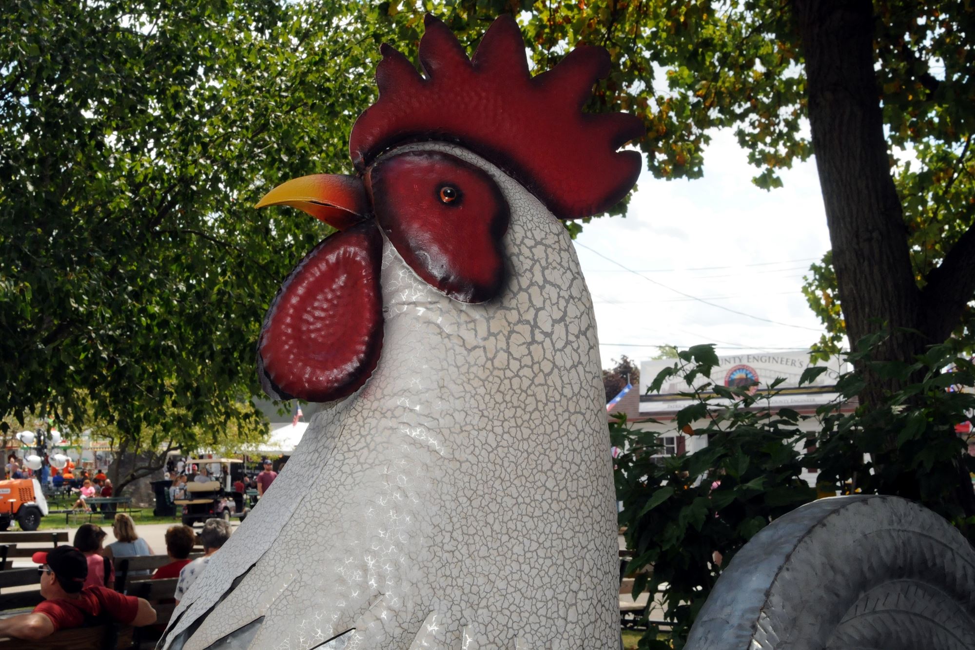 2019 Canfield Fair Photos