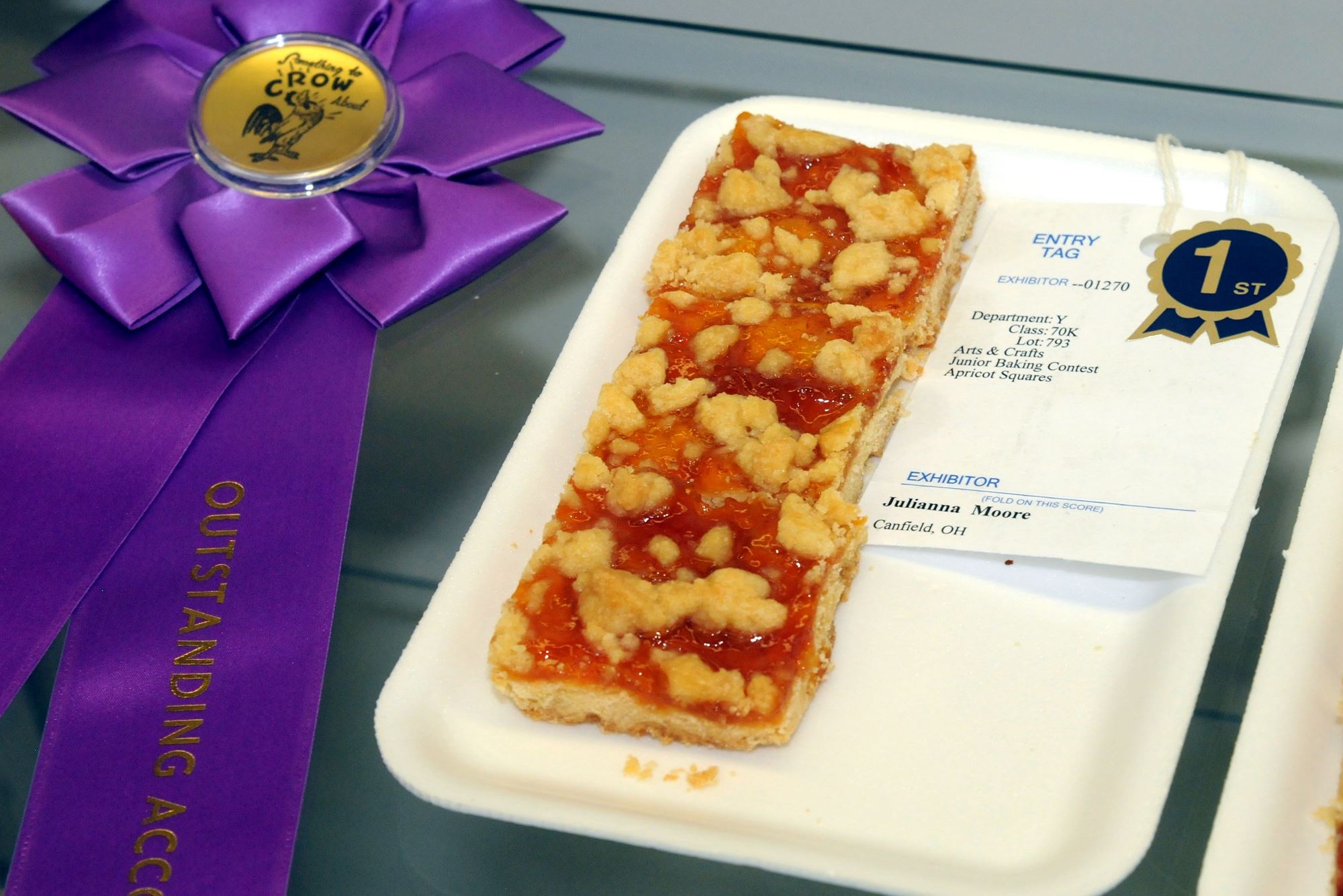 2019 Canfield Fair Photos