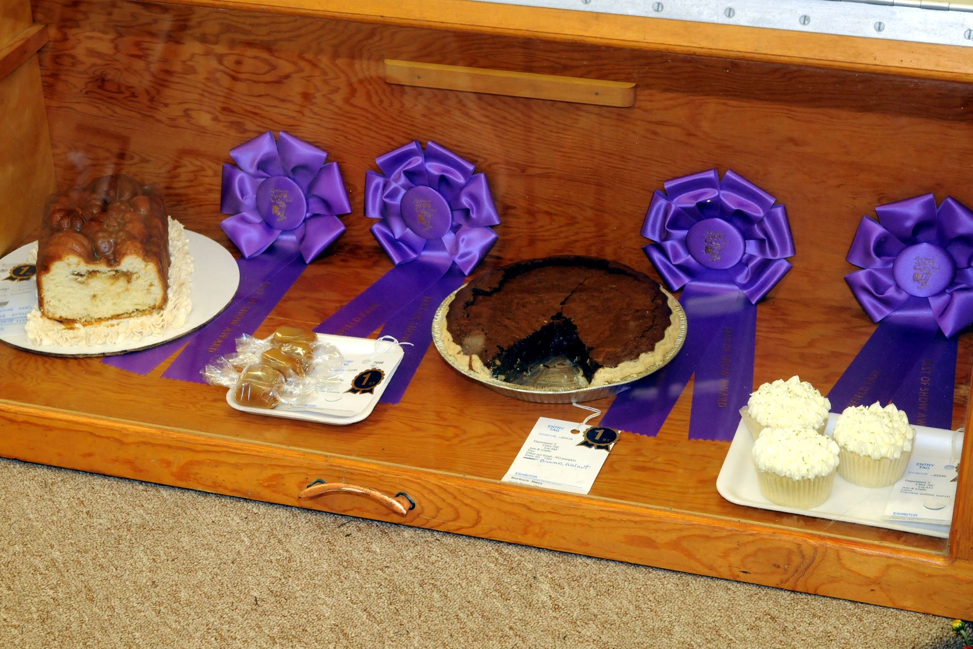 2019 Canfield Fair Photos