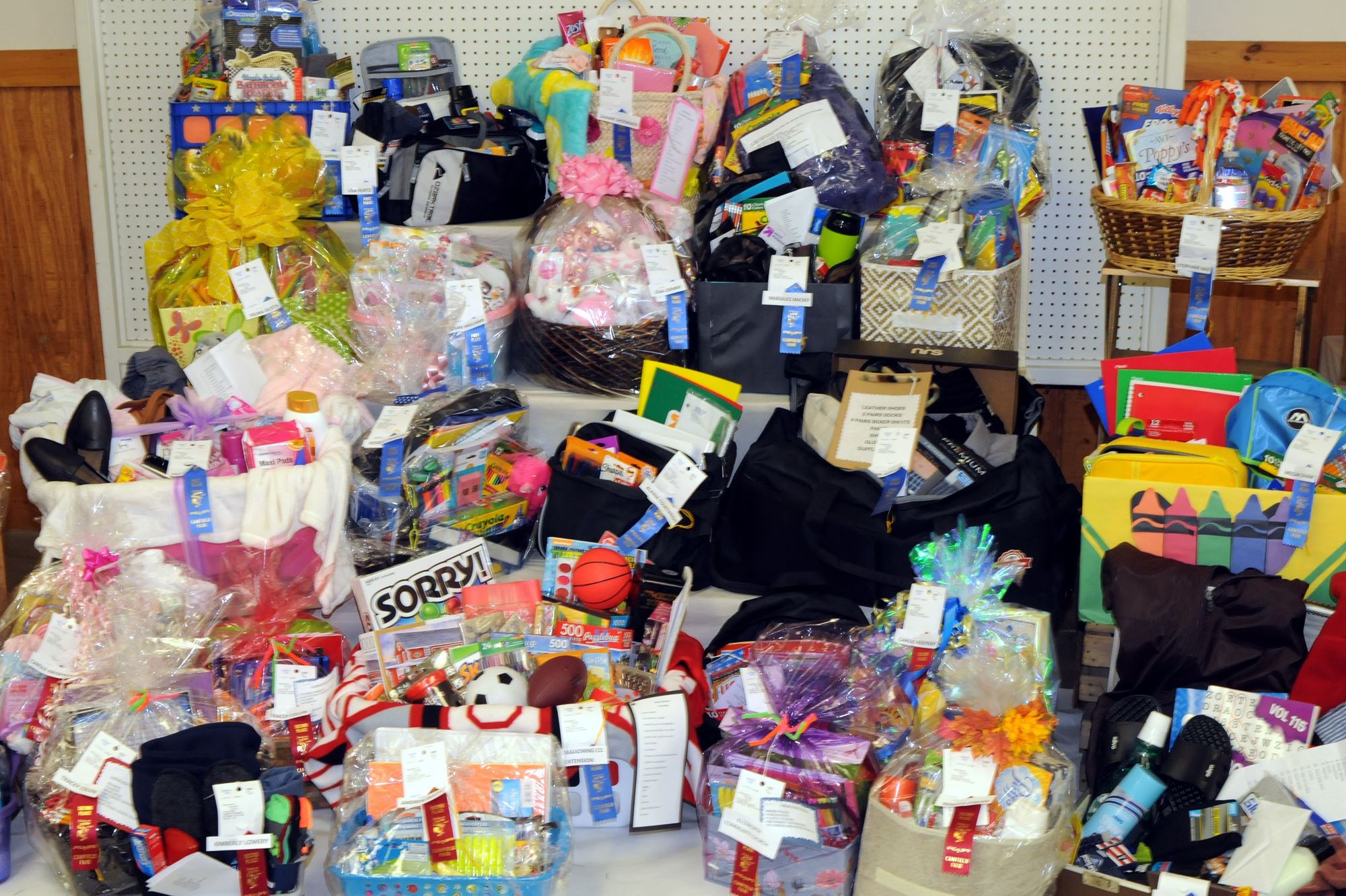 2019 Canfield Fair Photos