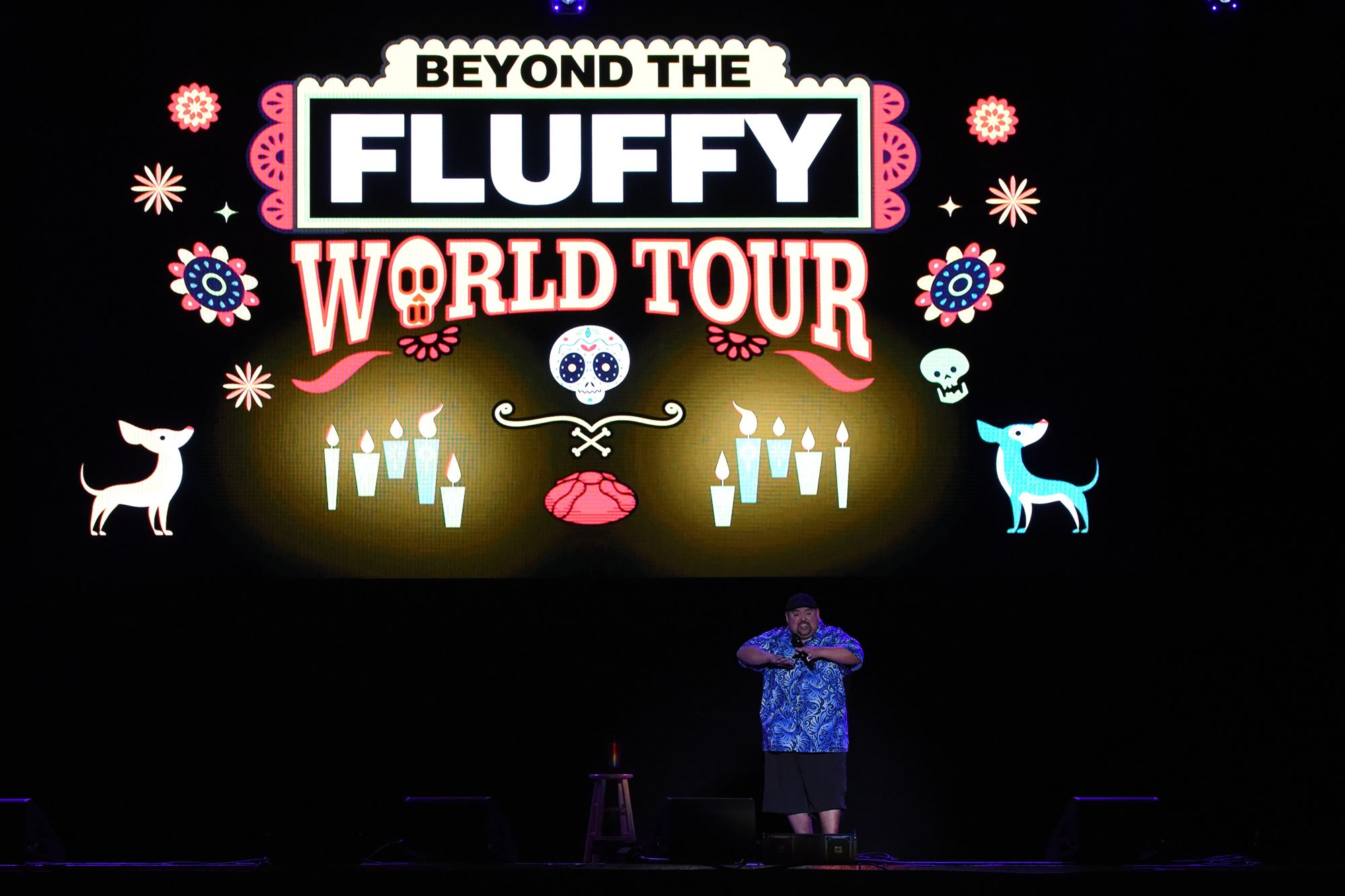 2019 Canfield Fair Photos