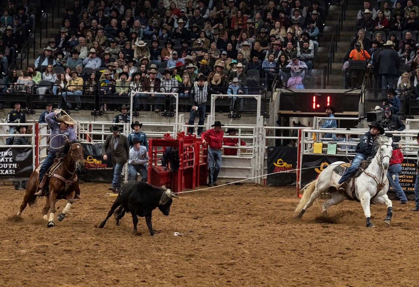 Rodeo Results