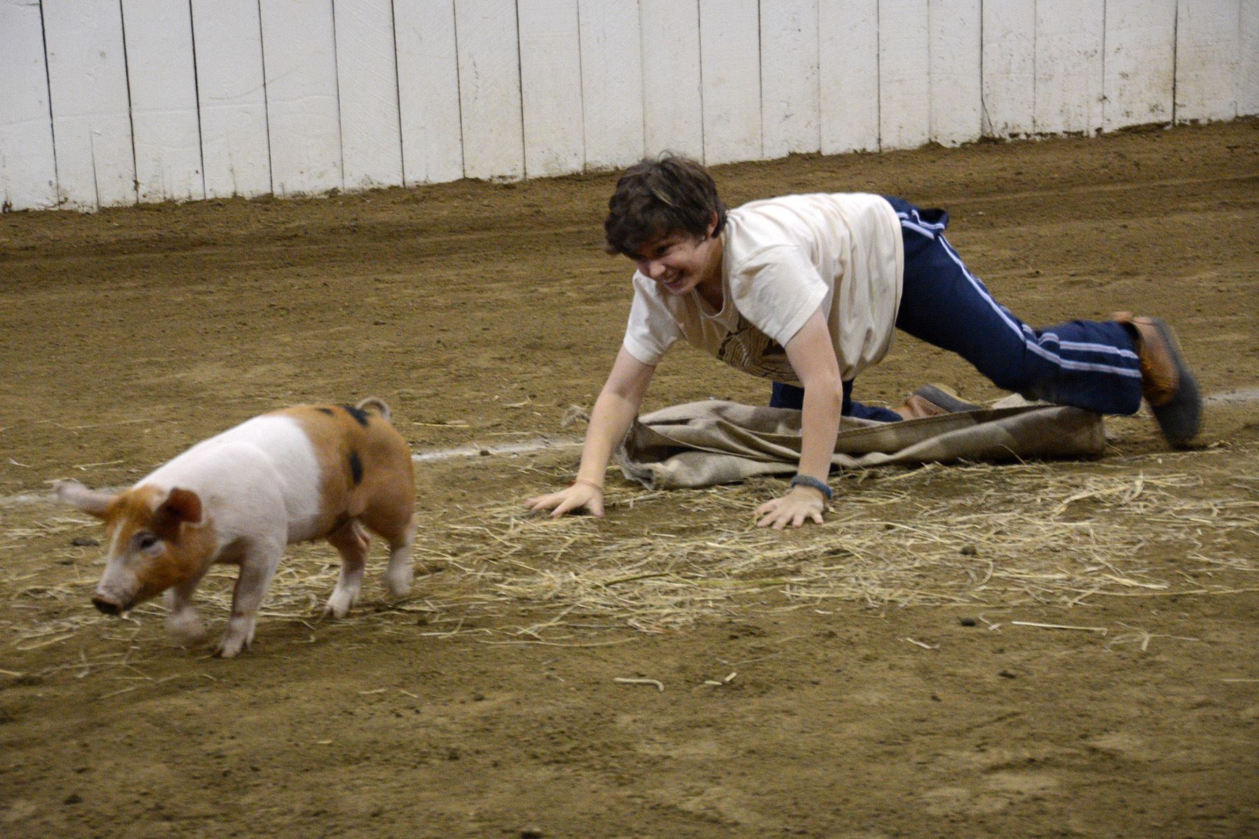 Pig Scrambles