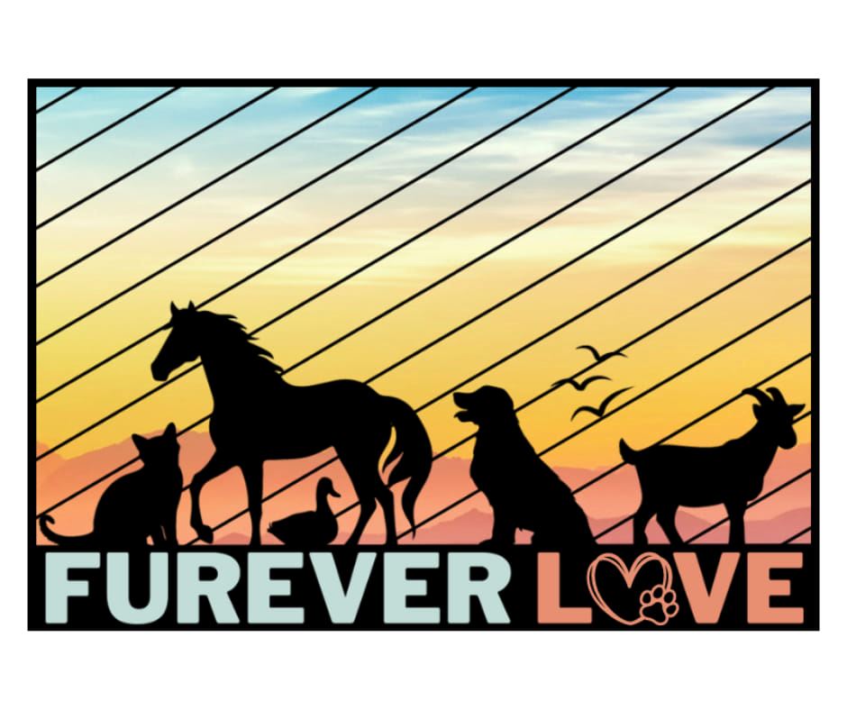 Furever Love Adoption Event