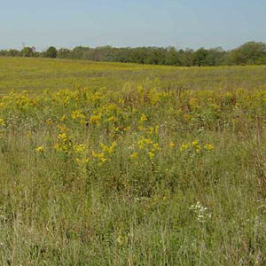 Parks in Kansas City, MO & Clay County