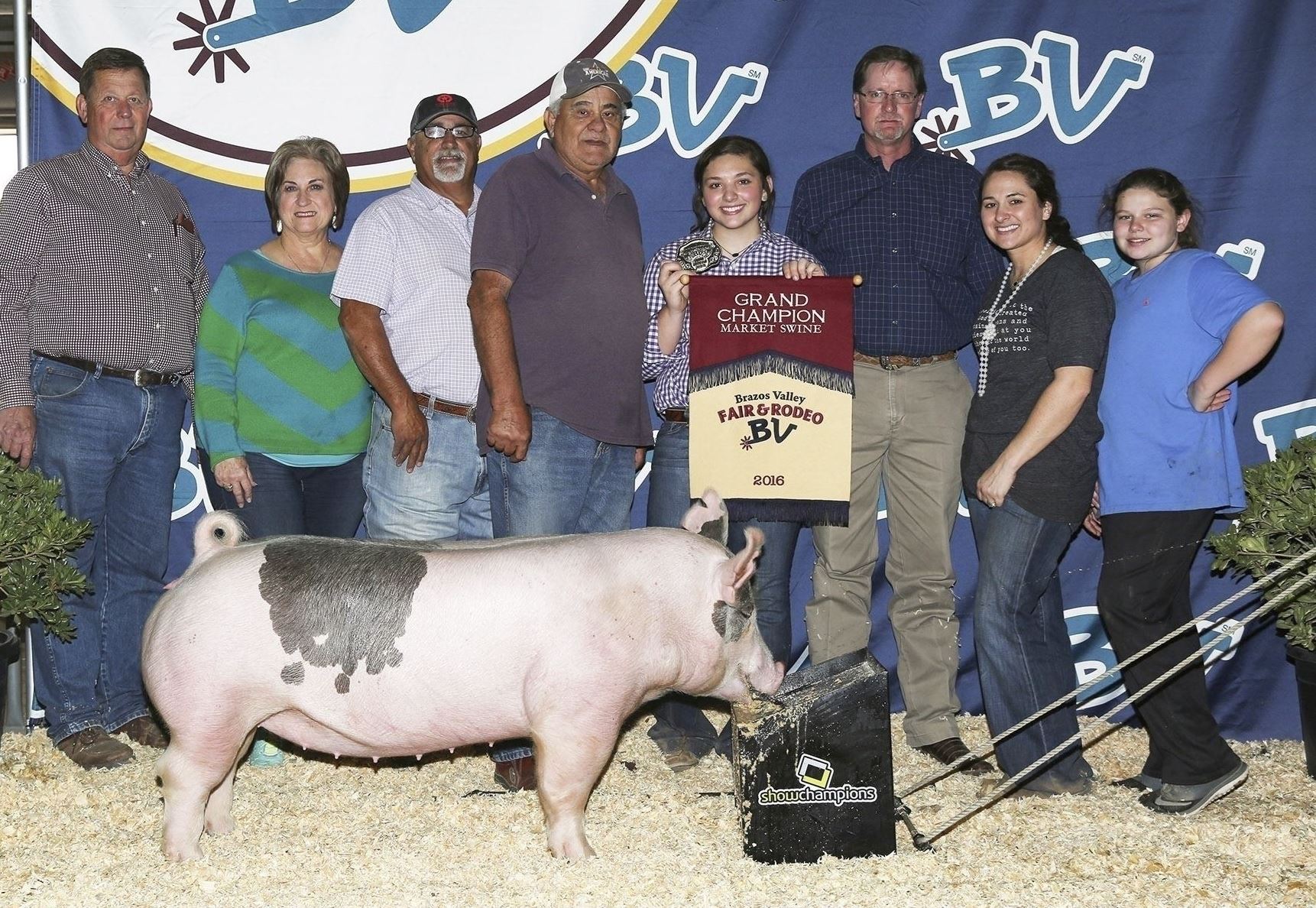 Livestock Show Information