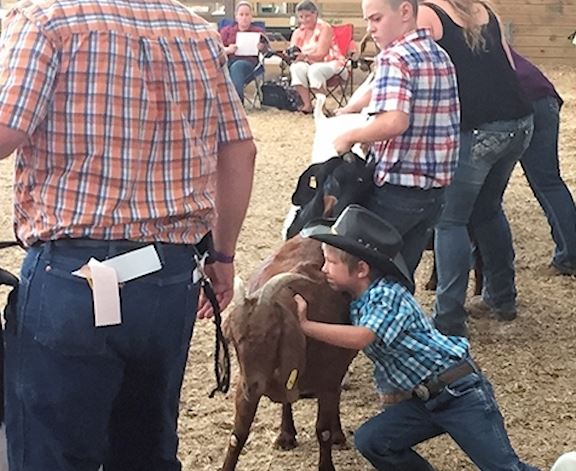 2016 Fair Photo Gallery