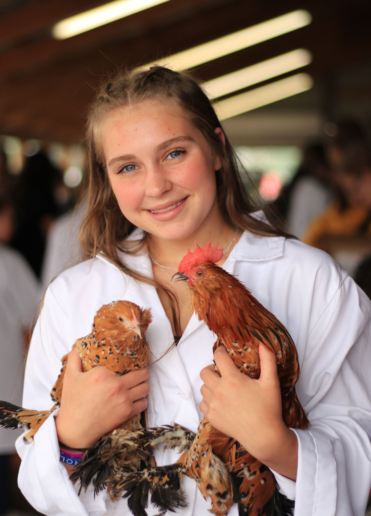 Junior Division Exhibits