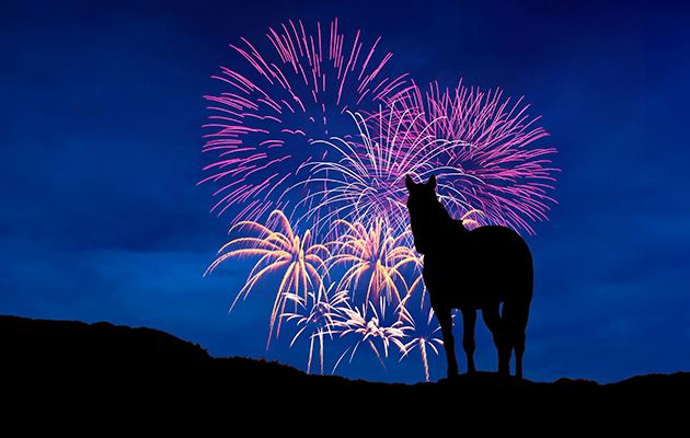 NYE Fireworks at Pipe Creek Community Center