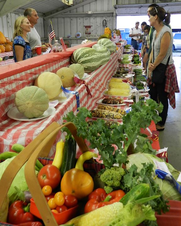 2015 Fair Photo Gallery