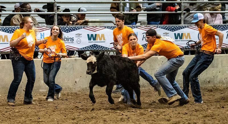 Kids Events at the Rodeo