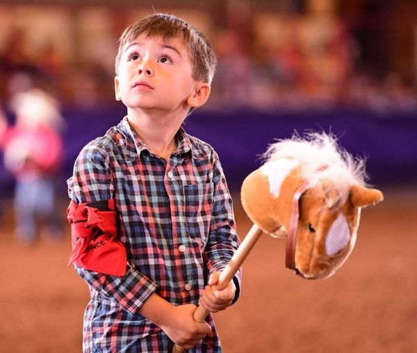 Stick Horse Pony Grand Entry