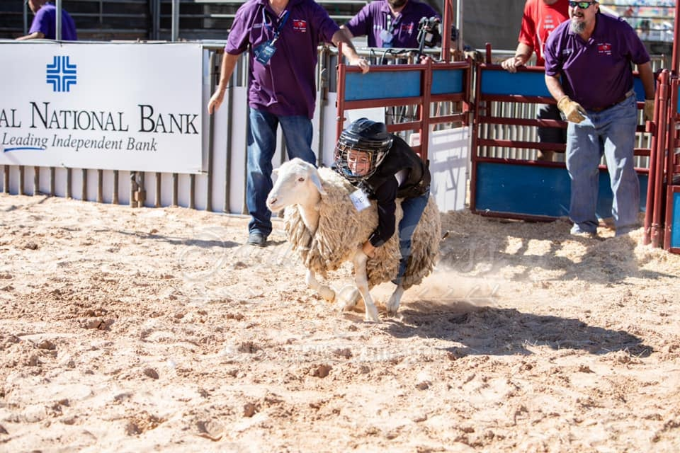 Mutton Bustin'