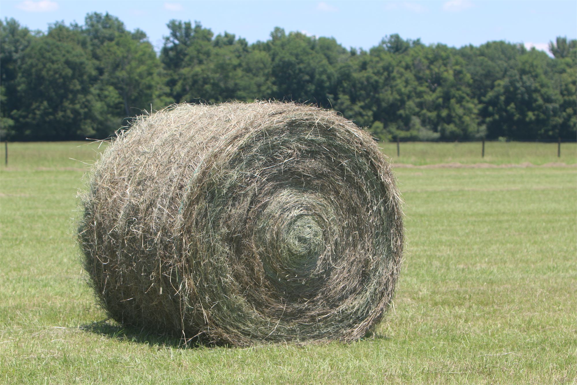 Hay Production Meeting