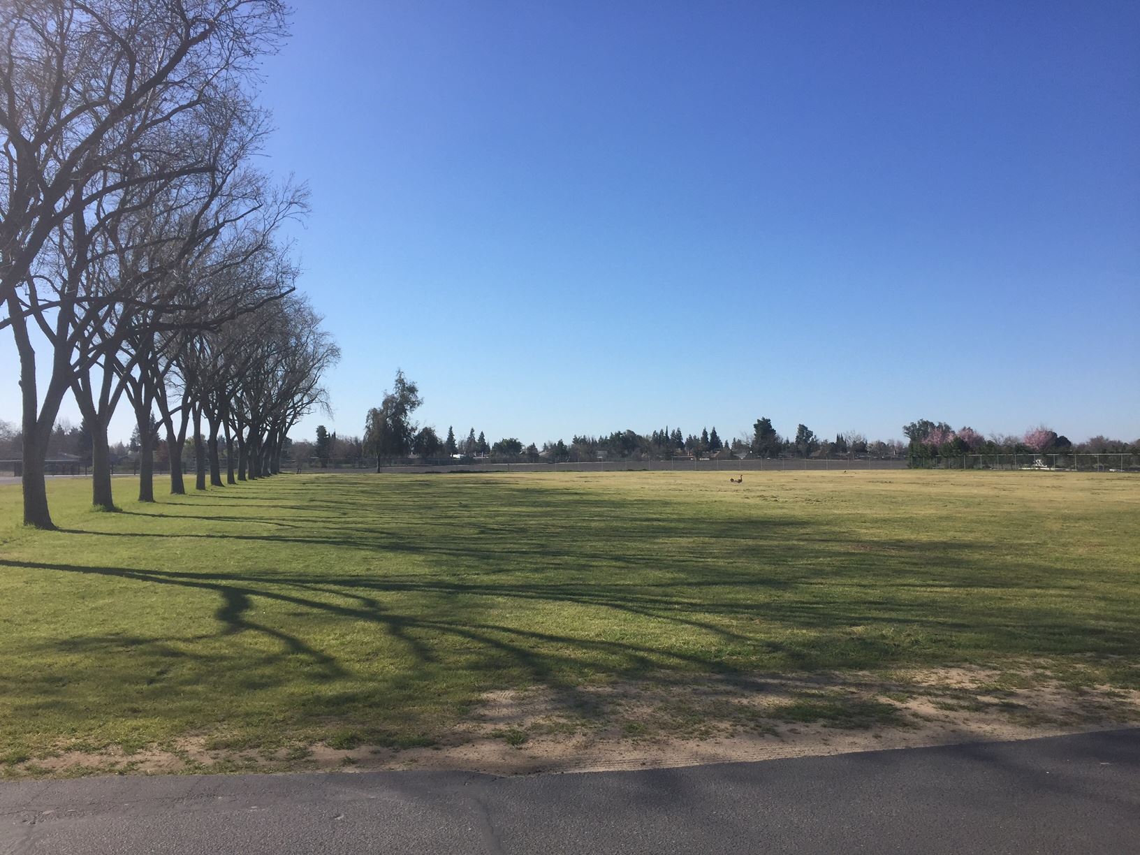 Madera District Fair - Outdoor Facilities