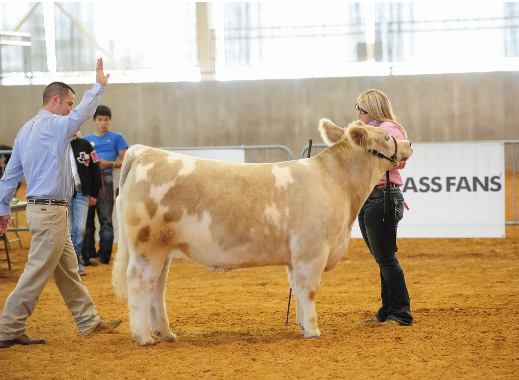 Livestock Show Information