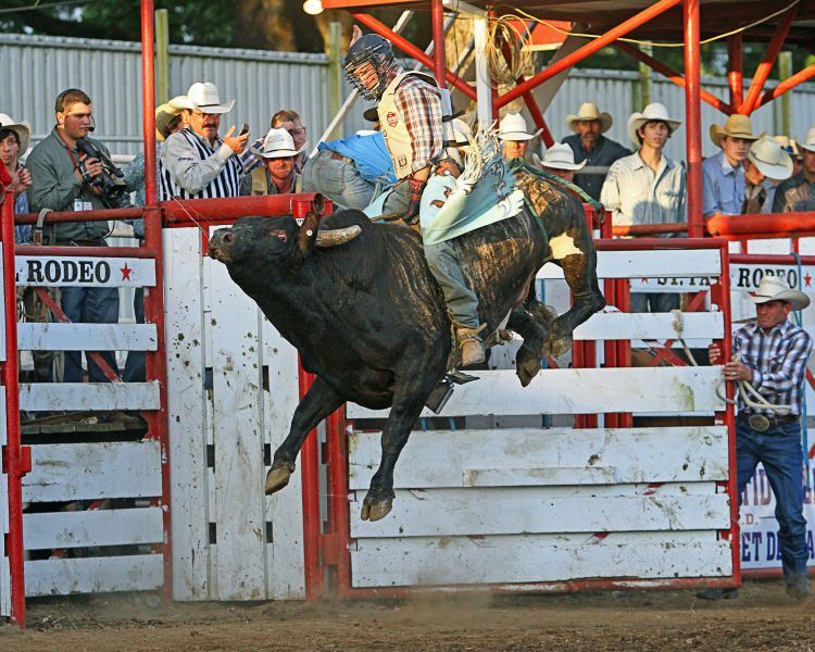 Rodeo Event Descriptions