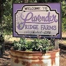 Lavender Ridge