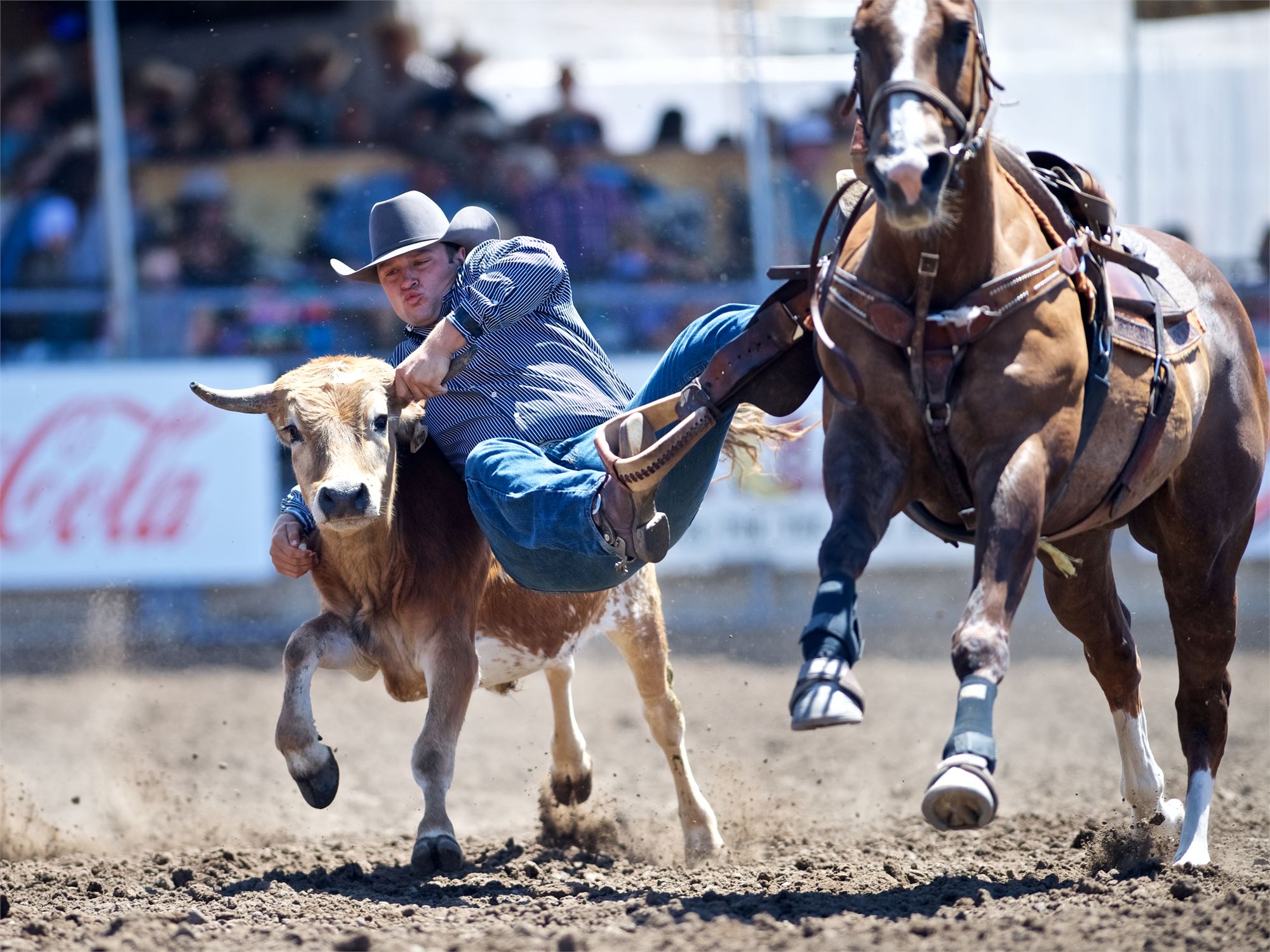 Santa Maria Elks Rodeo & Parade
