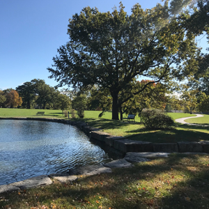 Parks in Kansas City, MO & Clay County