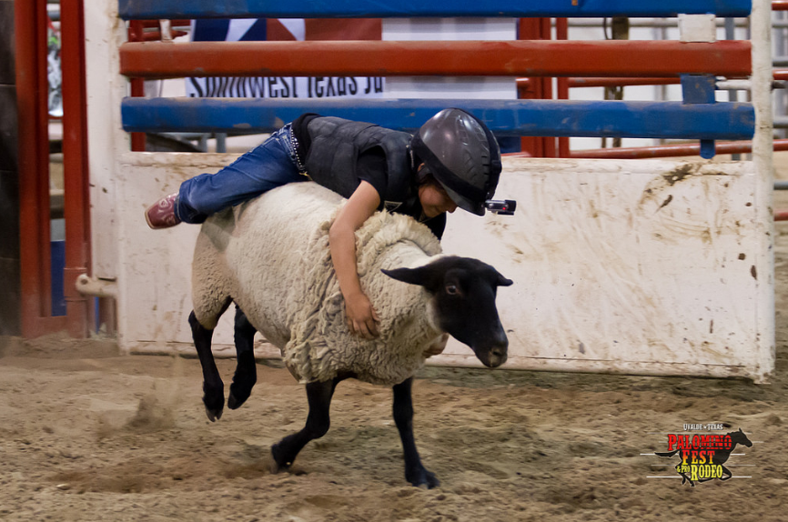 Uvalde County Indoor Arena