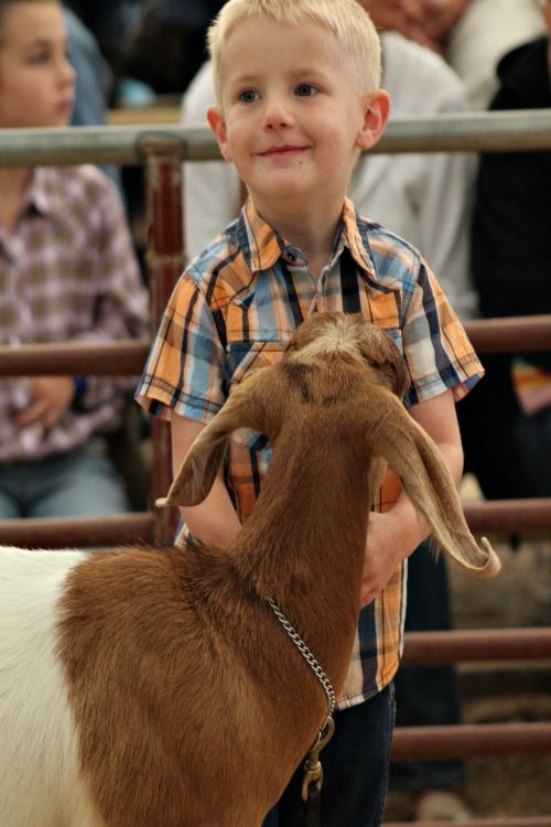 2013 Fair Photo Gallery