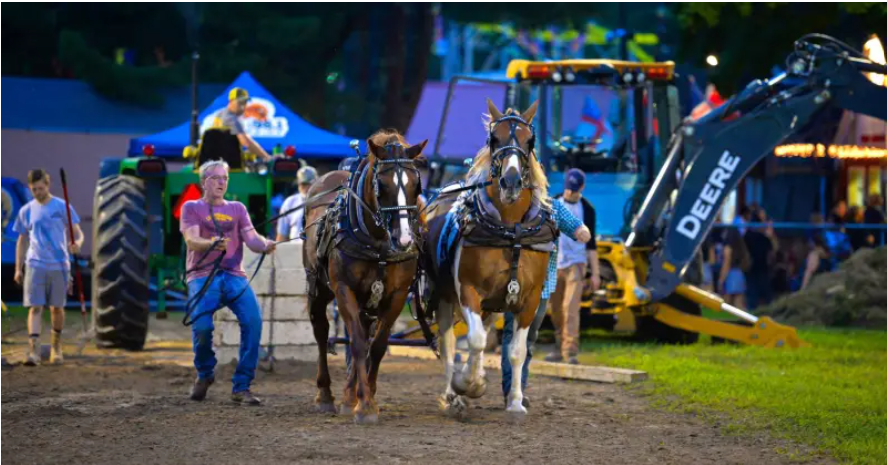 Motor Sports / Truck & Tractor Pulls