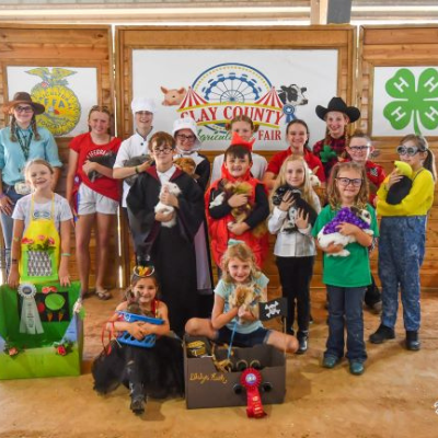 Competitions, Contests & Shows