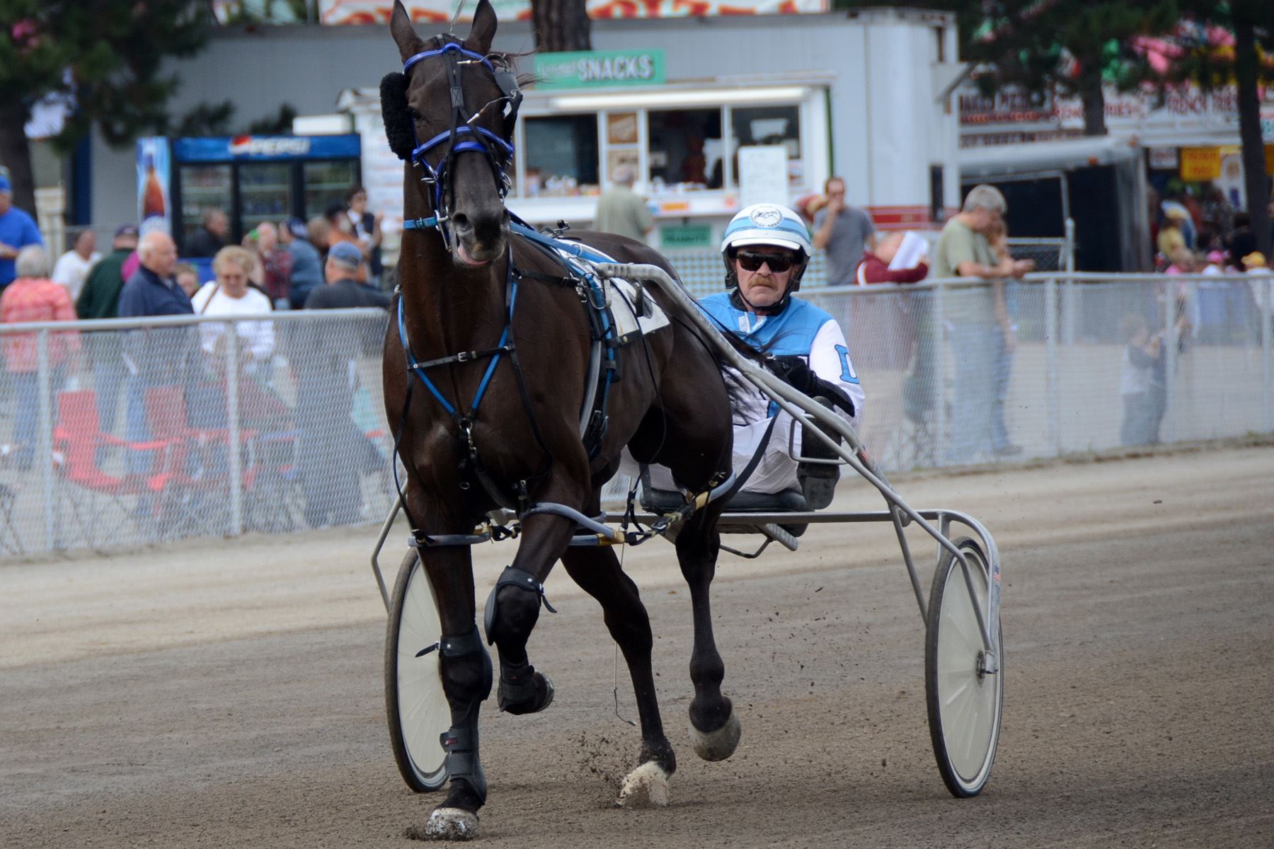 Harness Racing