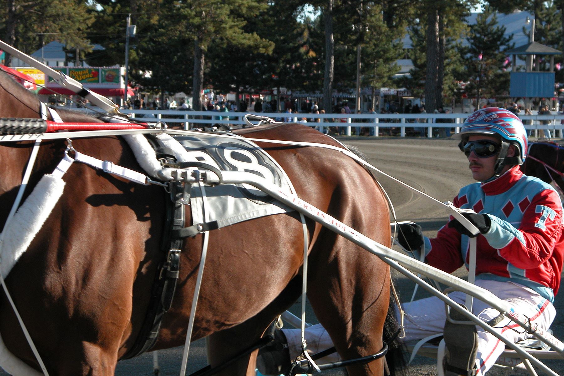 Harness Racing