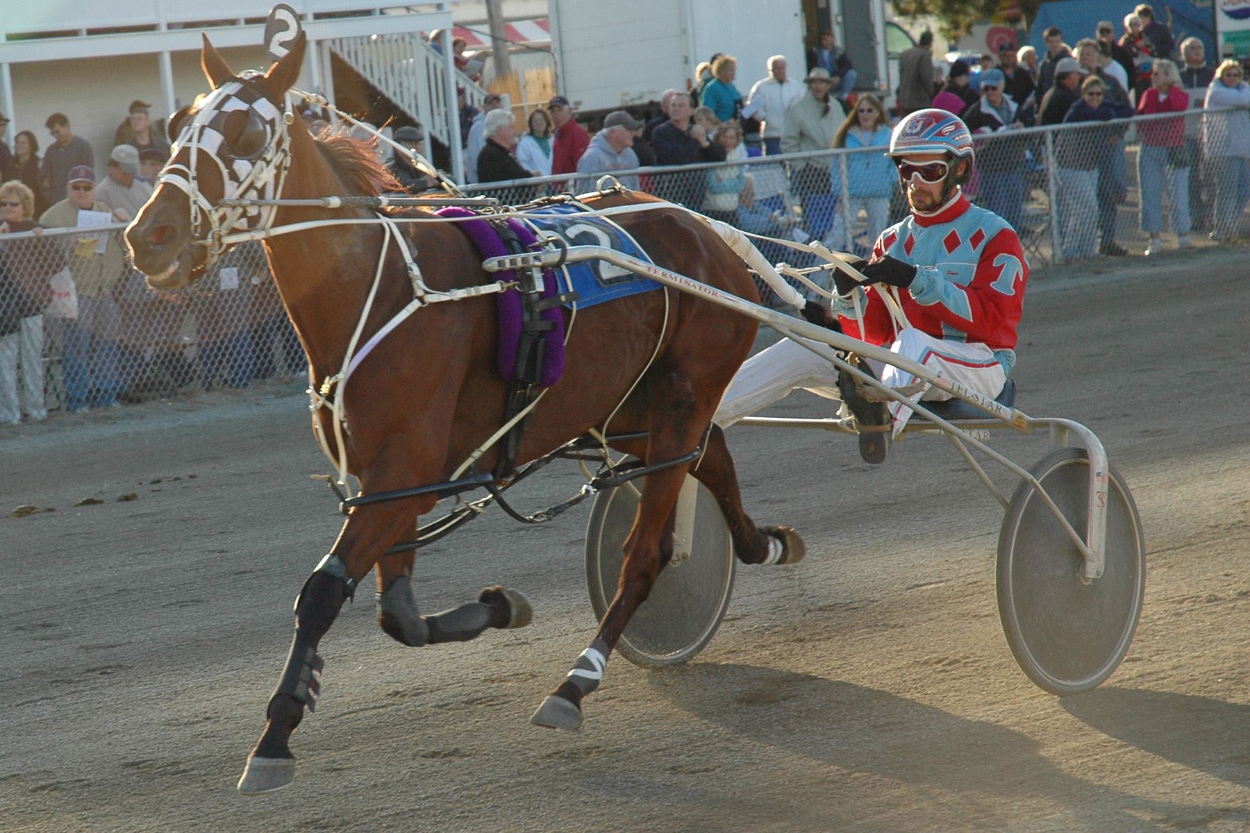 Harness Racing