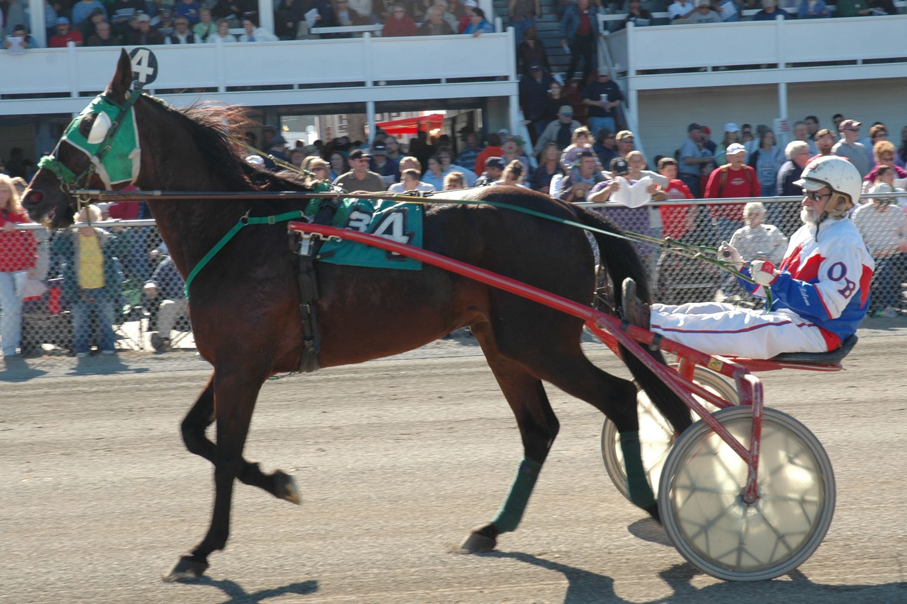 Harness Racing