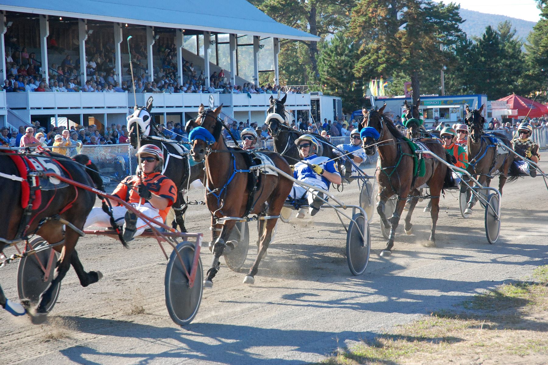 Harness Racing